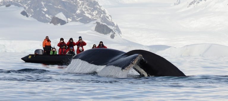 Arctic Photography: 10 Pro Tips | Expedition Cruise