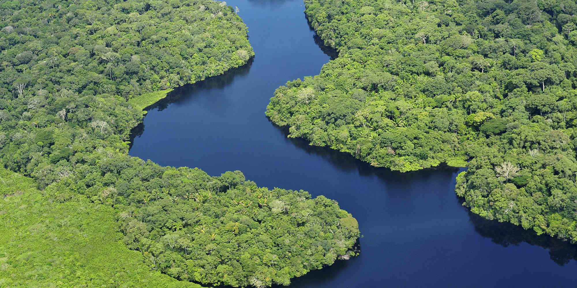 Amazon River Cruises: Explore Unchartered Territories - Expedition Cruise